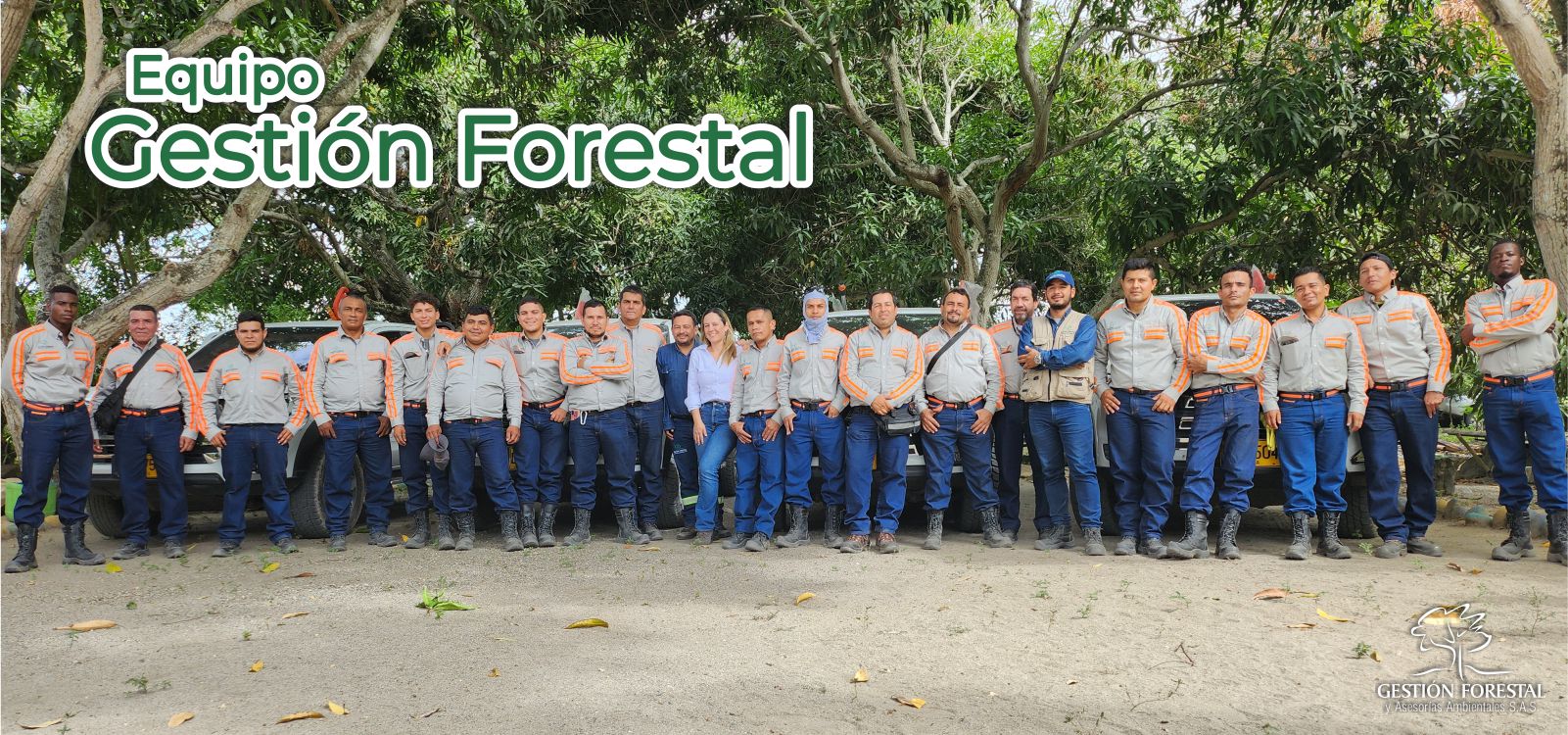 Nuestro equipo - Gestión Forestal